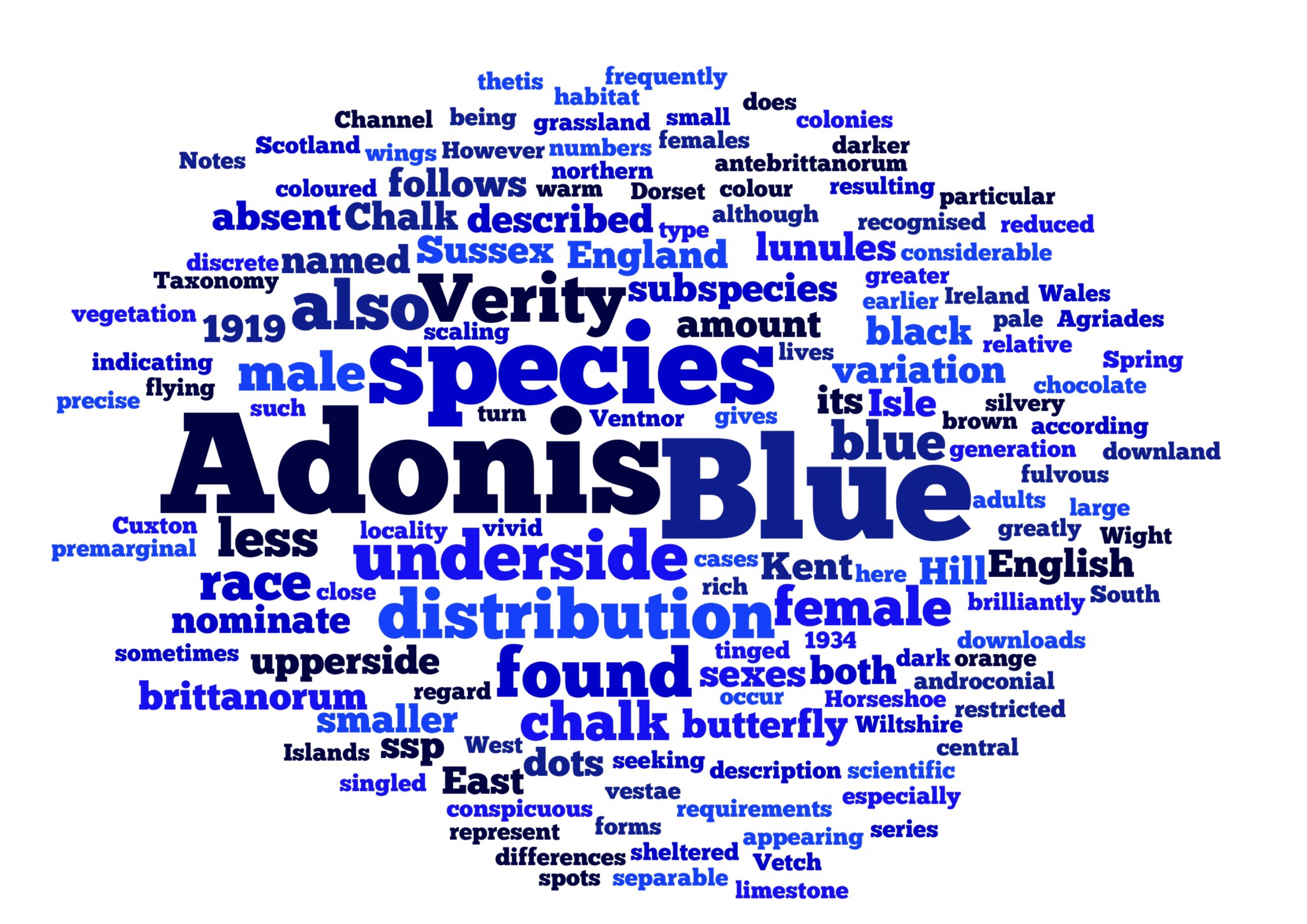 Adonis Blue – Lyndon @ Adonis Blue