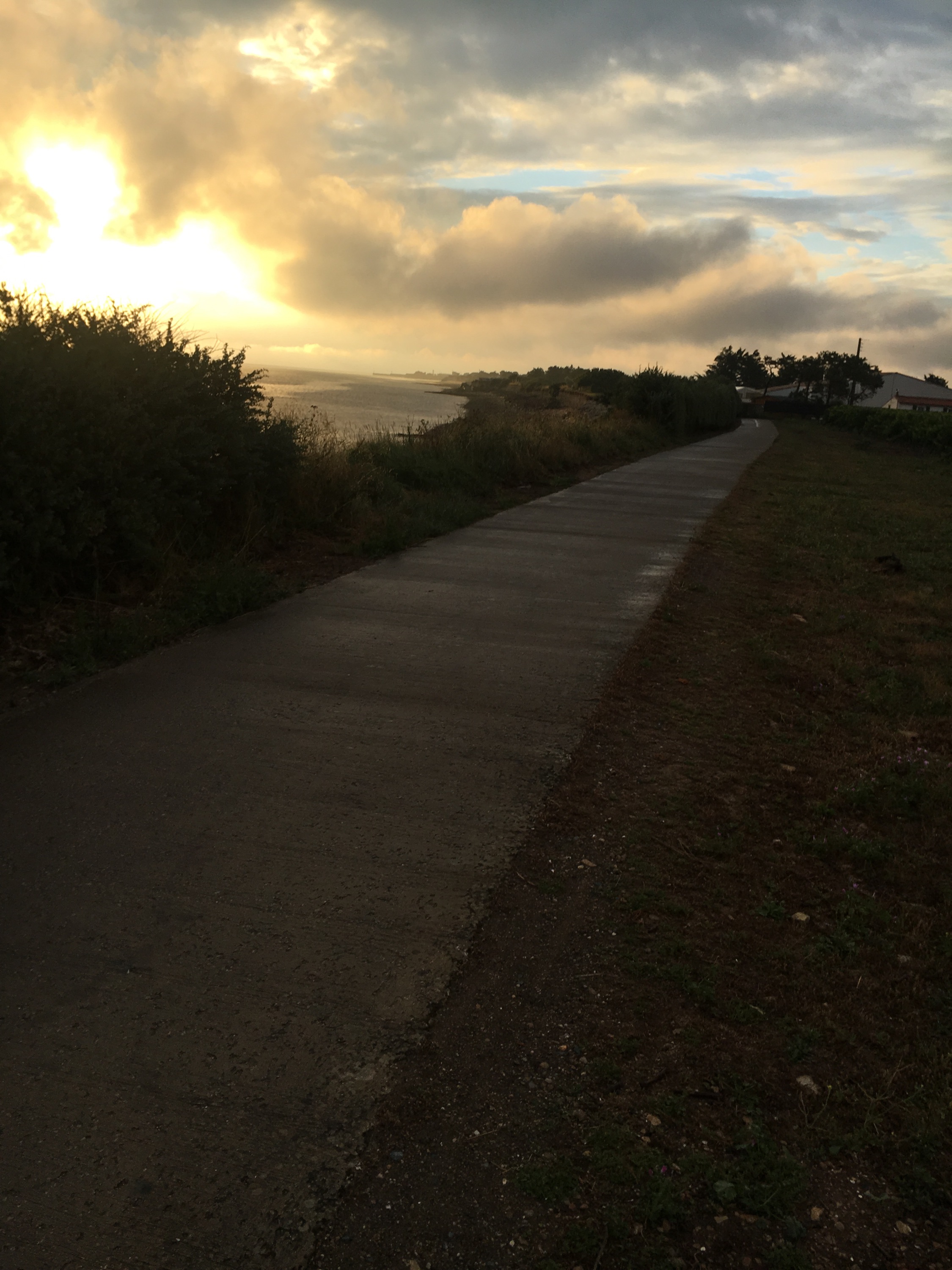 Jogging slowly home to St.Martin – Lyndon @ Adonis Blue