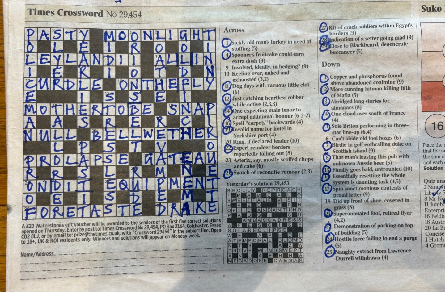 January 31, 2026 – Lyndon @ Adonis Blue